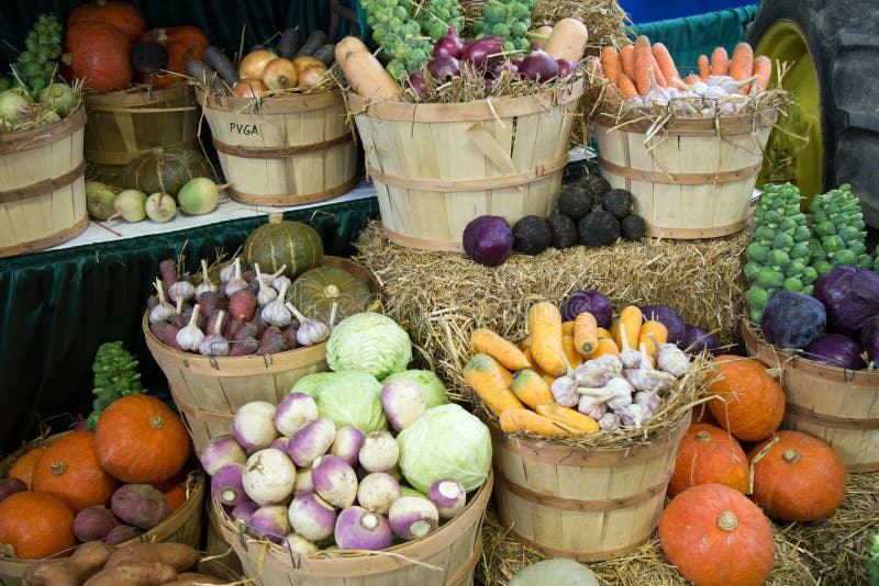 Fresh Vegetable Baskets on Display Stock Photo - Image of basket, salad ...