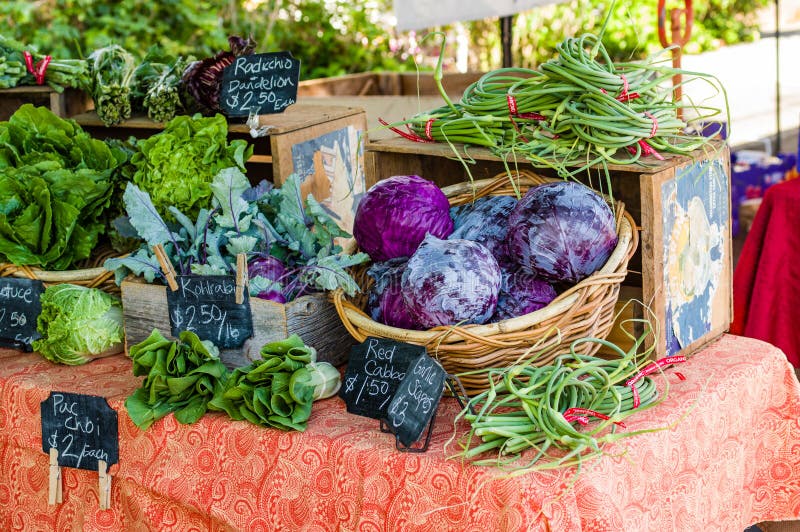 Fresh Vegetable Display at the Market Stock Image - Image of healthy ...