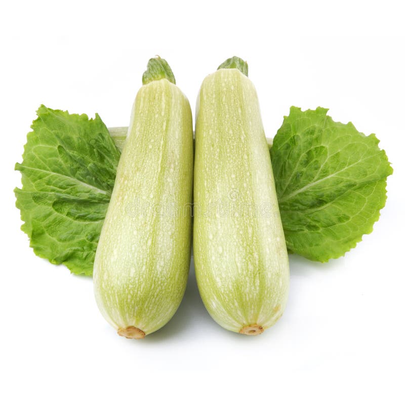 Fresh vegetable marrow stock image. Image of circlet - 19374537