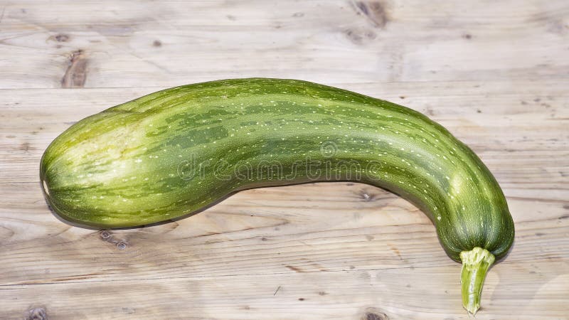 Fresh vegetable marrow stock image. Image of vegetables - 33130869