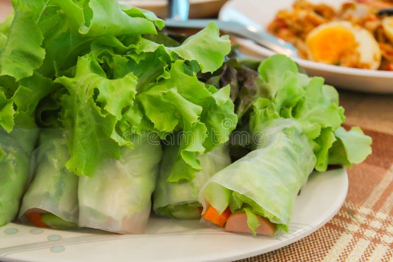 Fresh Vegetable Noodle Spring Roll Stock Image - Image of appetizer ...
