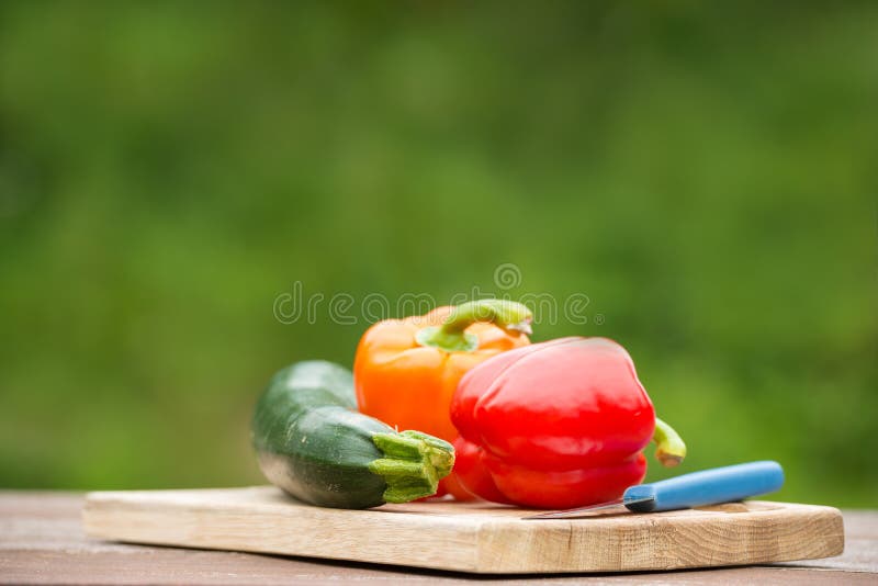 Fresh vegetable outdoors stock image. Image of pepper - 32637615