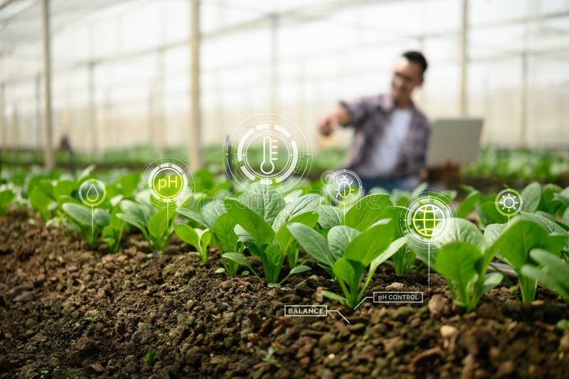 Fresh Vegetable Plants with Digital Data for PH Control, Temperature ...