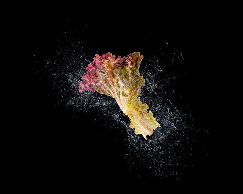 Fresh Vegetable Water Splash Float Air Elegance Stock Photos - Free ...