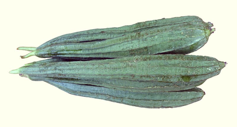 Fresh vegetable zucchini stock image. Image of healthy - 192745031