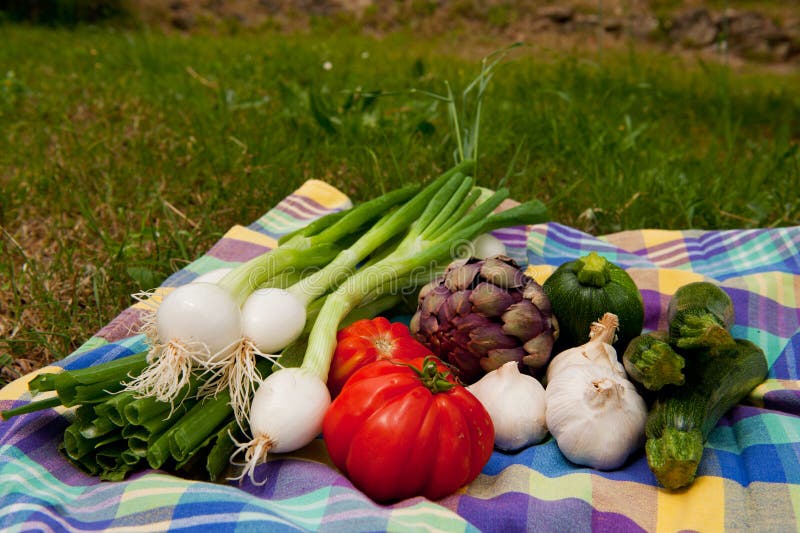 Fresh Vegetables in Colorful Buckets Stock Photo - Image of tomatoes ...