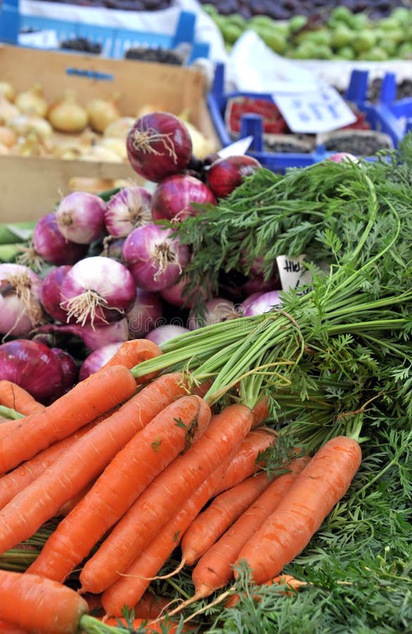 Vegetables stock photo. Image of salad, fresh, fungus - 14380268
