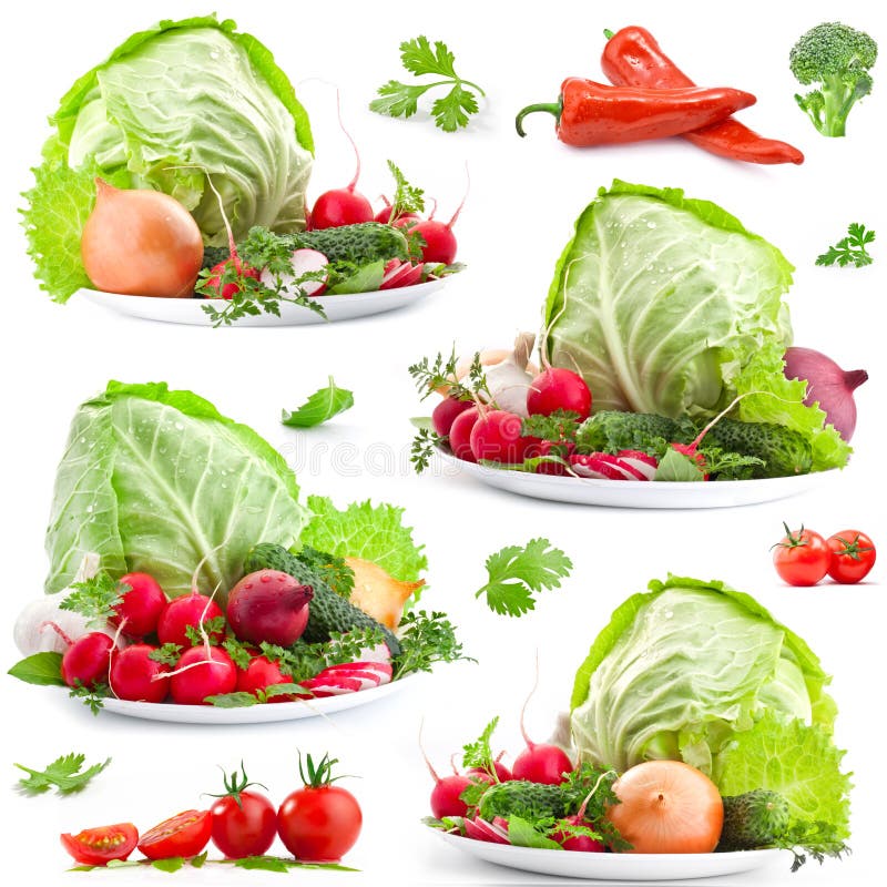 Fresh vegetables stock photo. Image of basil, healthy - 28101608