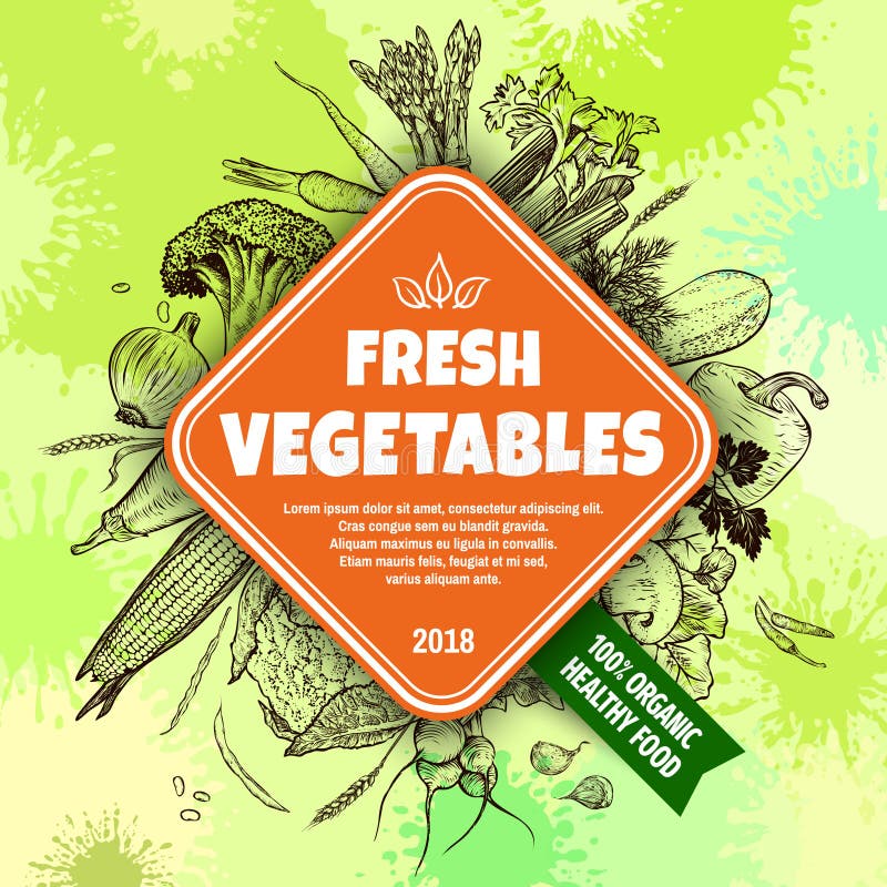 Fresh Vegetables Banner Concept. Hand Drawn Vegetables Set Stock Vector ...