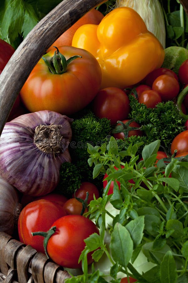 Fresh vegetables. stock image. Image of farm, cucumber - 33129269
