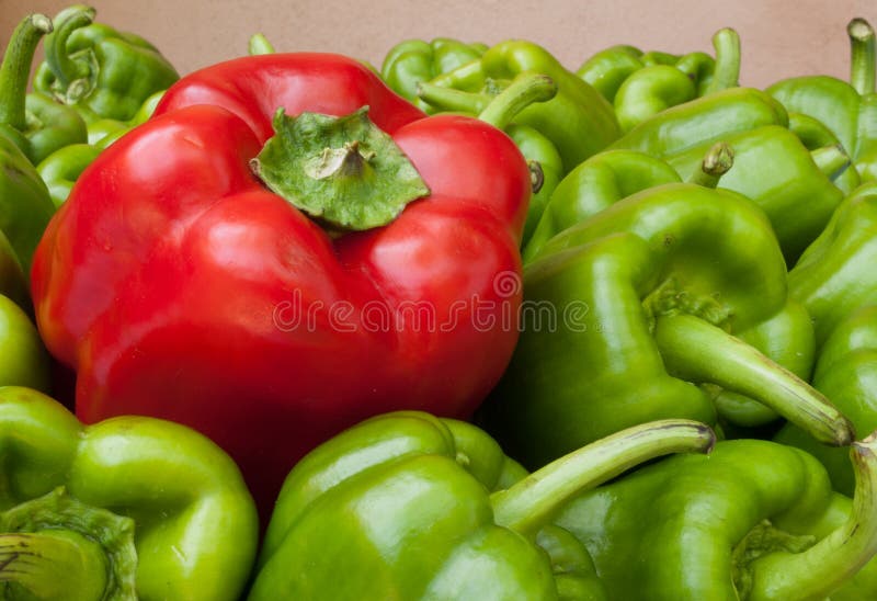 Fresh vegetables stock photo. Image of eating, food, garlic - 43092468