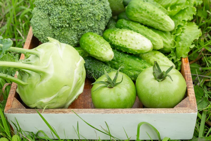 Fresh Vegetables in the Box on the Green Grass Stock Image - Image of ...