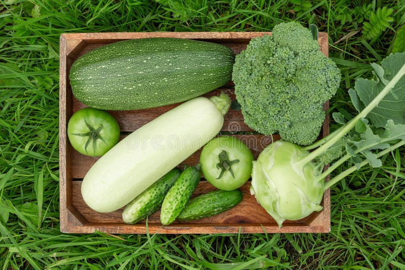 Fresh Vegetables in the Box on the Green Grass Stock Image - Image of ...