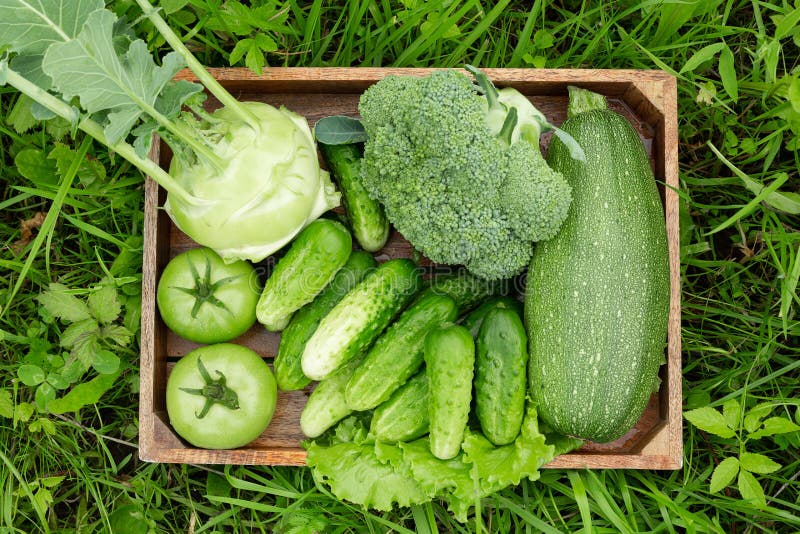 Fresh Vegetables in the Box on the Green Grass Stock Image - Image of ...