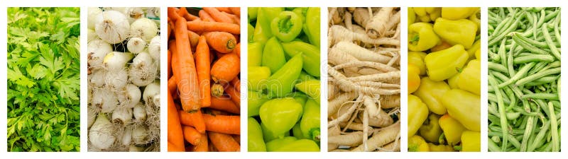 Fresh Vegetables Collection Set Stock Photo - Image of salad ...
