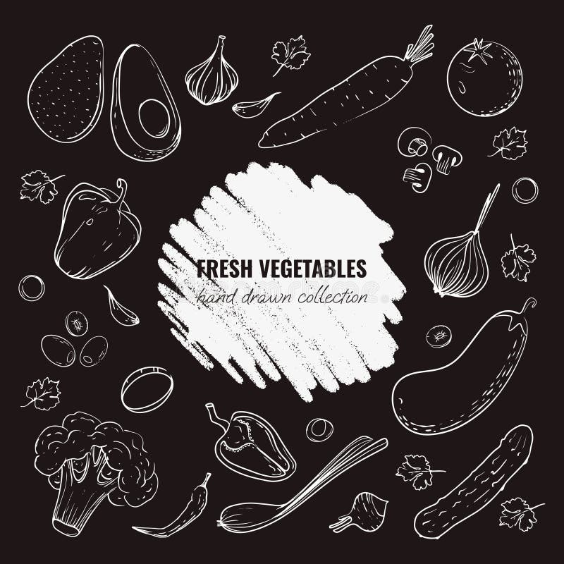 Fresh Vegetables in Hand Drawing Technique in Illustration Stock Vector ...