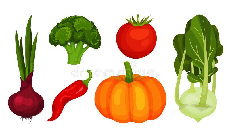 Fresh Vegetables Isolated on White Background Vector Set Stock Vector ...