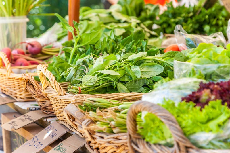 Fresh Vegetables at Local Market Stock Image - Image of environment ...
