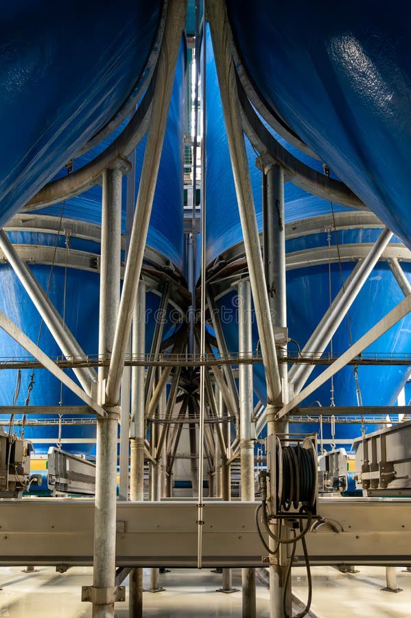 Fresh Vegetables Processing Equipment after Harvesting, Storage ...