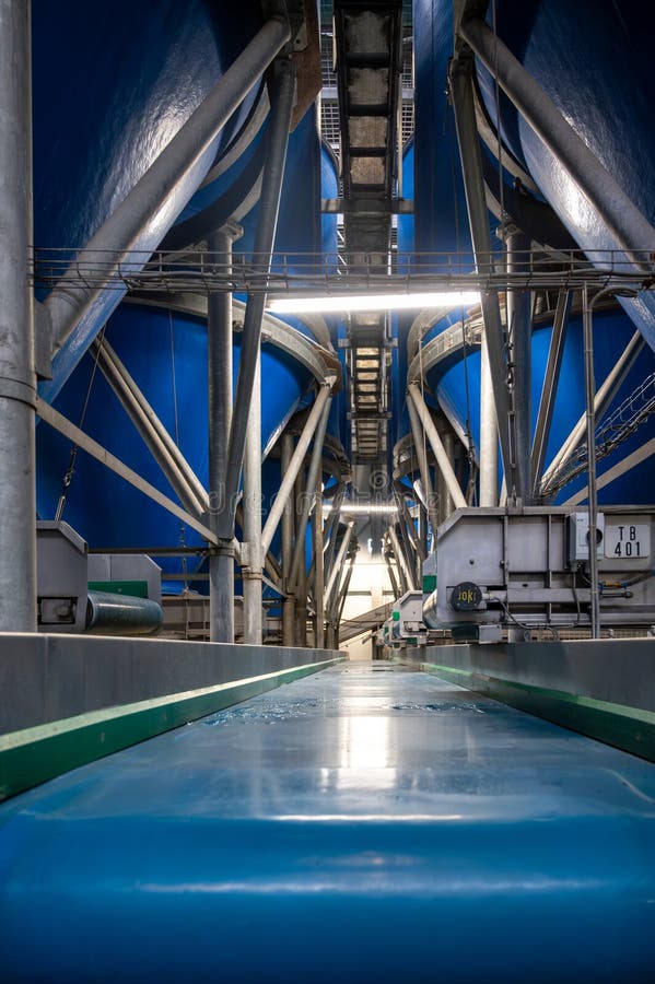 Fresh Vegetables Processing Equipment after Harvesting, Storage ...