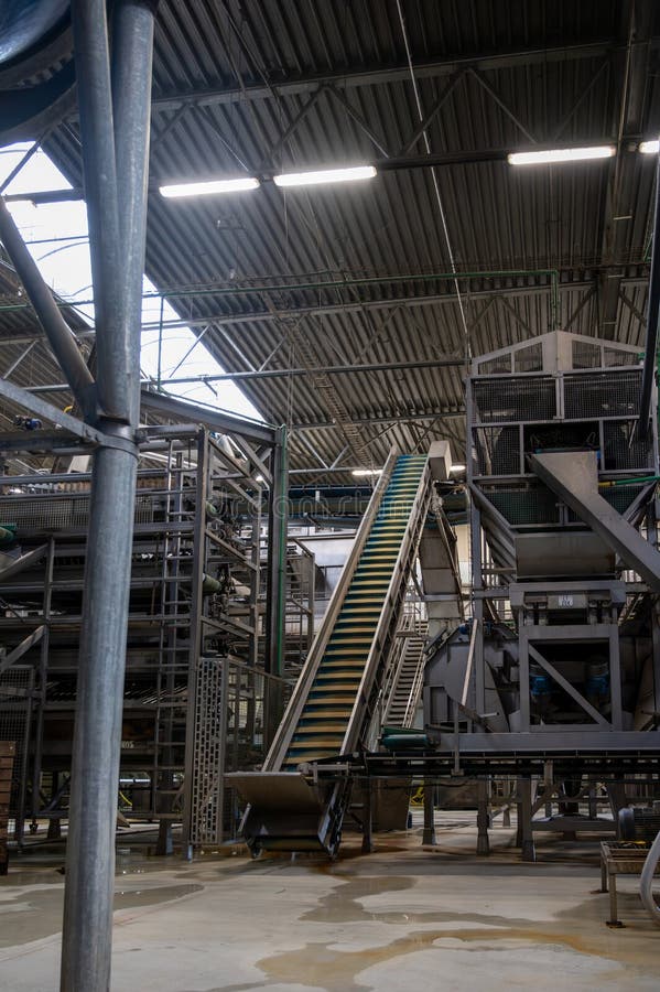 Fresh Vegetables Processing Equipment after Harvesting, Storage ...