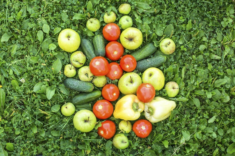 Fresh Vegetables Scattered on the Grass. Stock Image - Image of natural ...