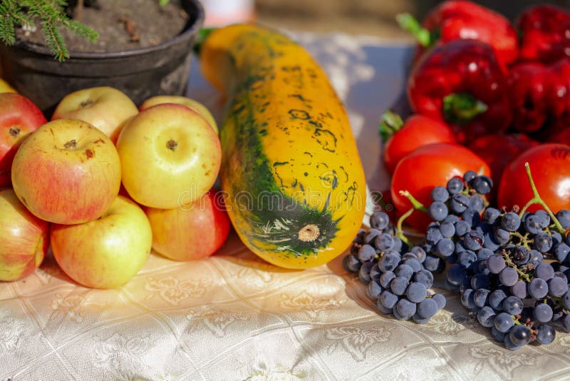 Fresh Vegetables are Sold at the Fair in the Fall Stock Photo - Image ...