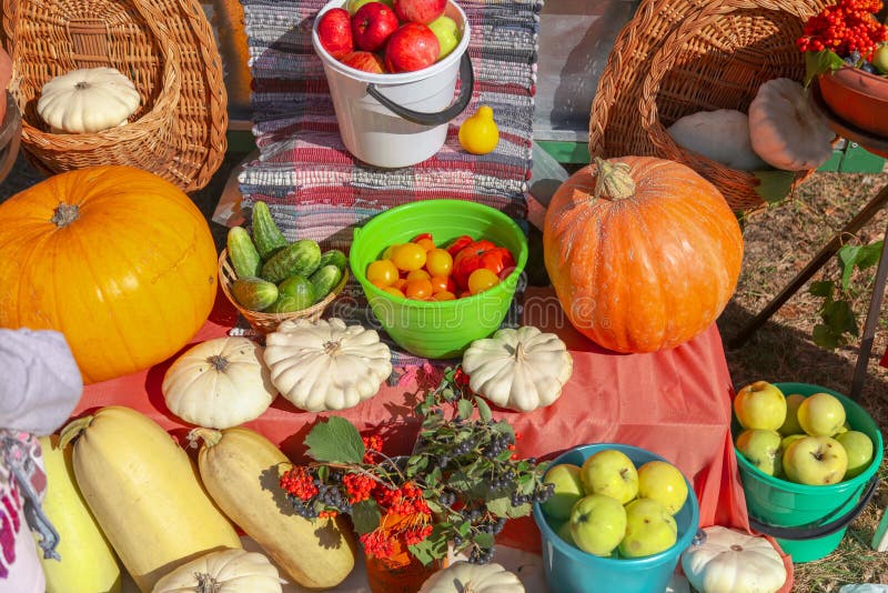 Fresh Vegetables are Sold at the Fair in the Fall Stock Image - Image ...