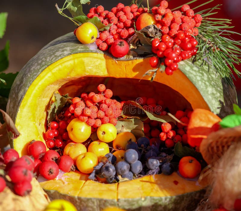 Fresh Vegetables are Sold at the Fair in the Fall Stock Image - Image ...