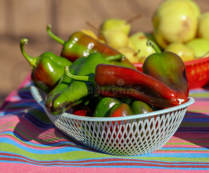 Fresh Vegetables are Sold at the Fair in the Fall Stock Image - Image ...