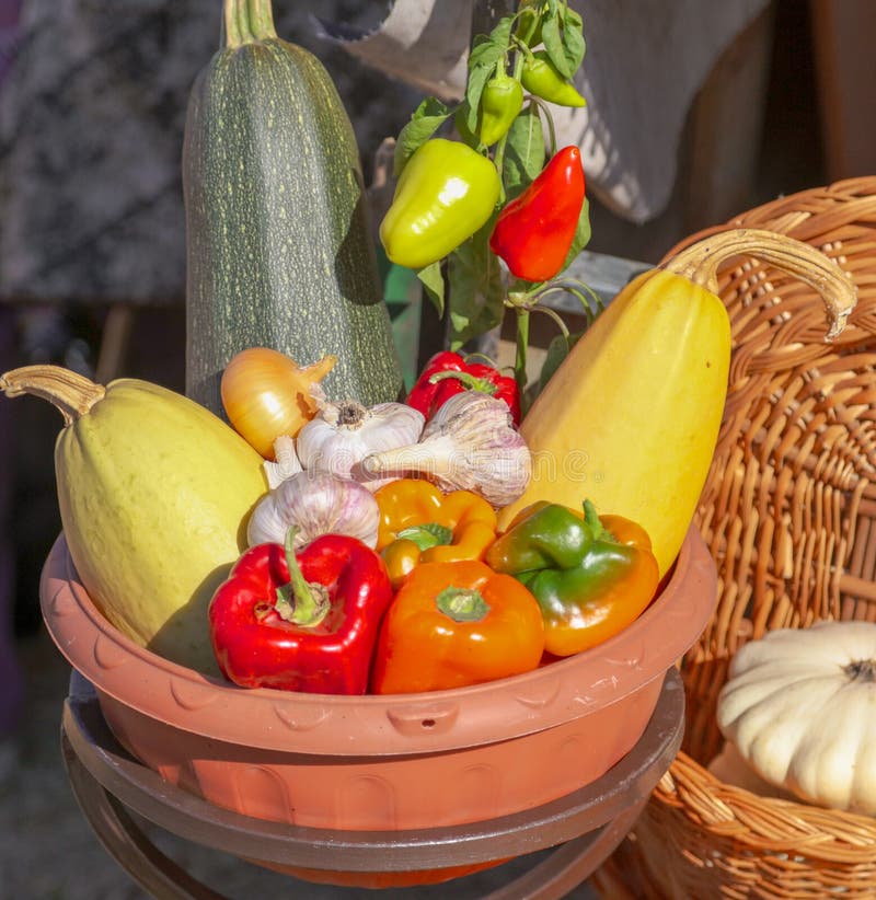 Fresh Vegetables are Sold at the Fair in the Fall Stock Image - Image ...