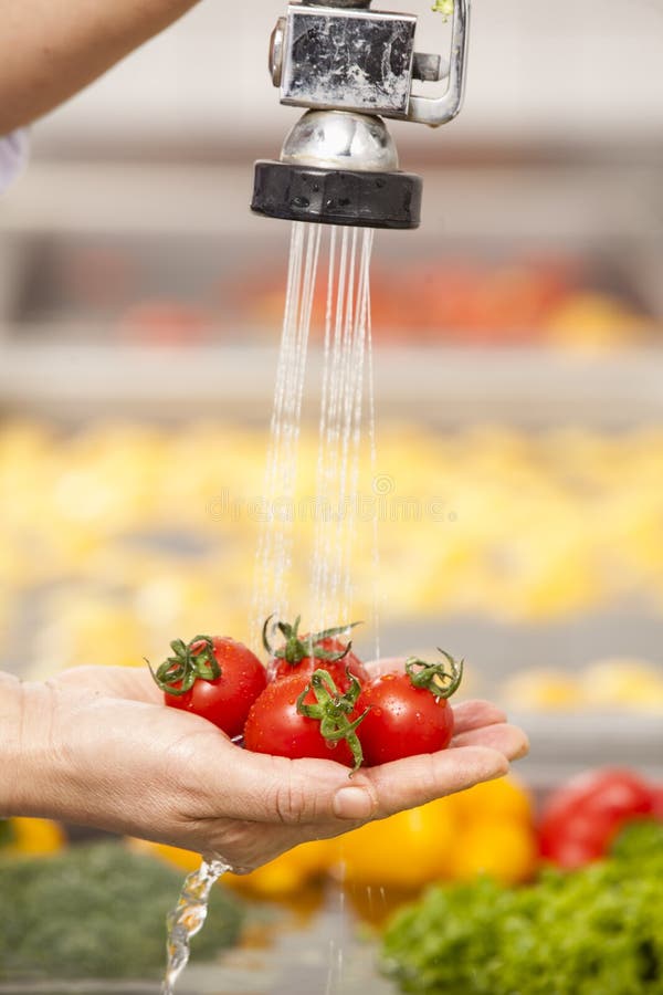 Fresh vegetables washed stock photo. Image of food, restaurant - 80742038
