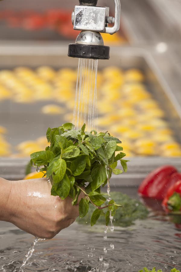 Fresh vegetables stock image. Image of healthy, preparation - 80744279