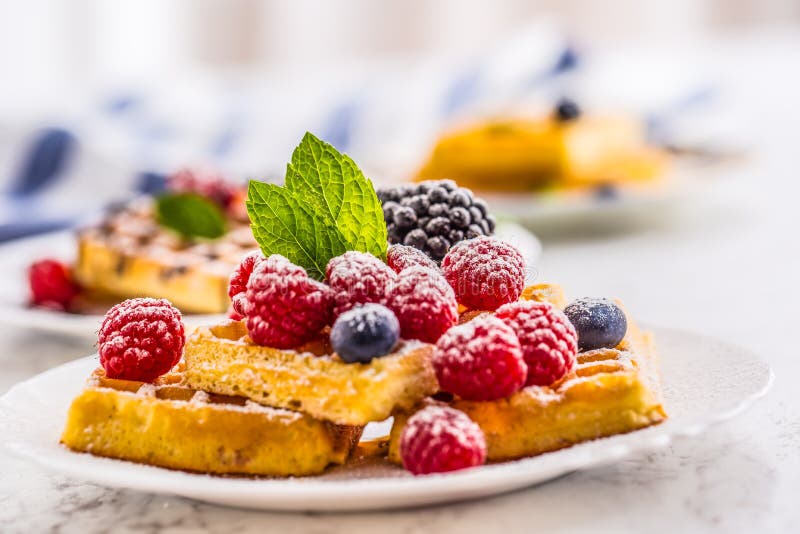 Fresh Waffles with Berries Sugar Powder Ant Mint Leaves Stock Photo ...