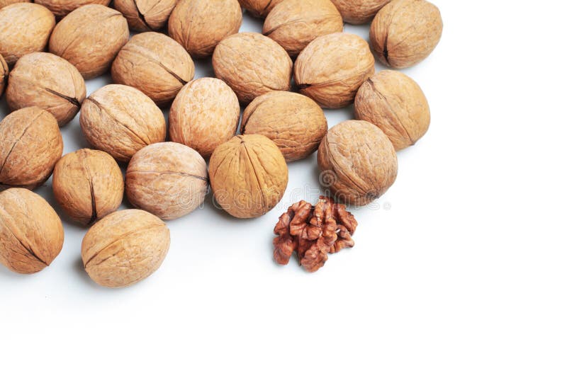 Fresh Walnut Isolate on a White Background Stock Image - Image of ...