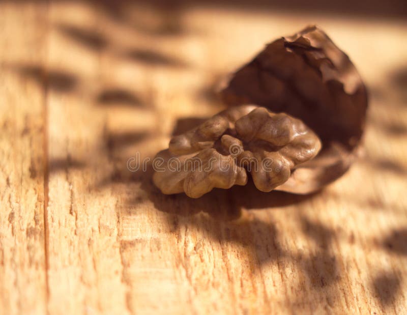 Fresh Walnut Kernel on the Wooden Table Stock Image - Image of ...