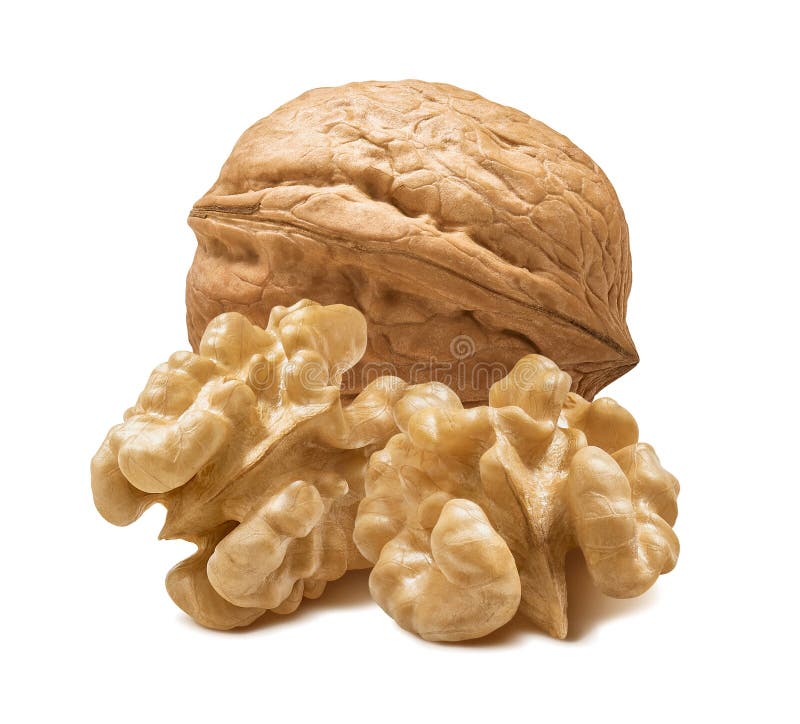 Fresh Walnut without Shell on White Background Stock Image - Image of ...