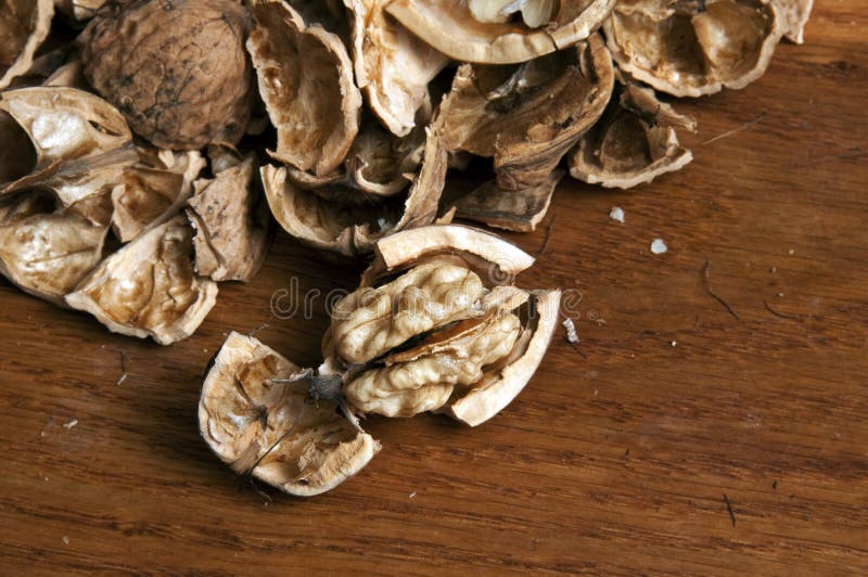 Fresh walnut and nutshells stock photo. Image of fresh - 21724450