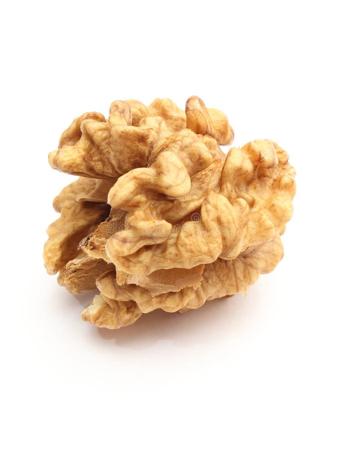 Fresh Walnut without Shell on White Background Stock Image - Image of ...