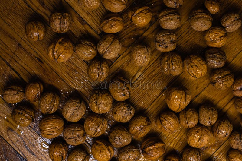 Walnut in the shell stock image. Image of life, fresh - 180488895
