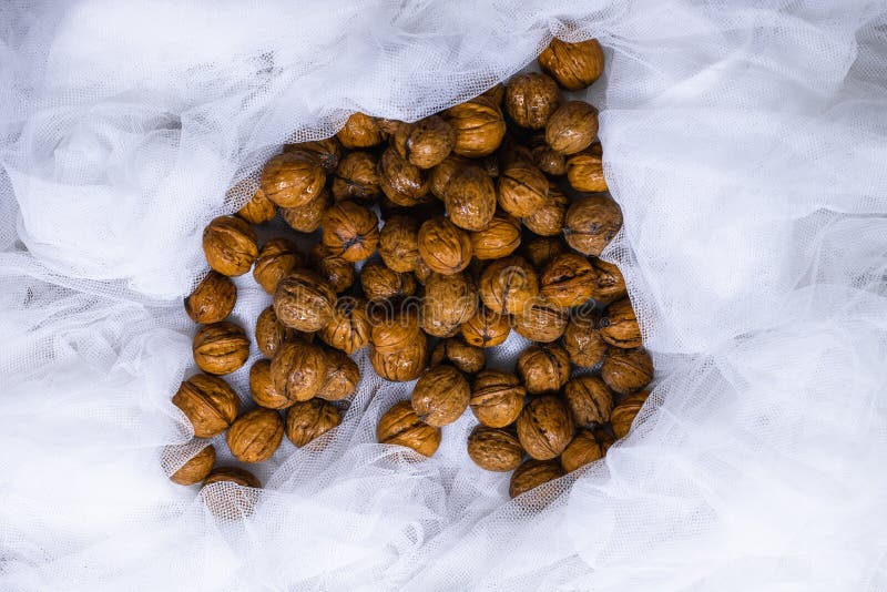 Walnut in the shell stock image. Image of still, young - 180488551