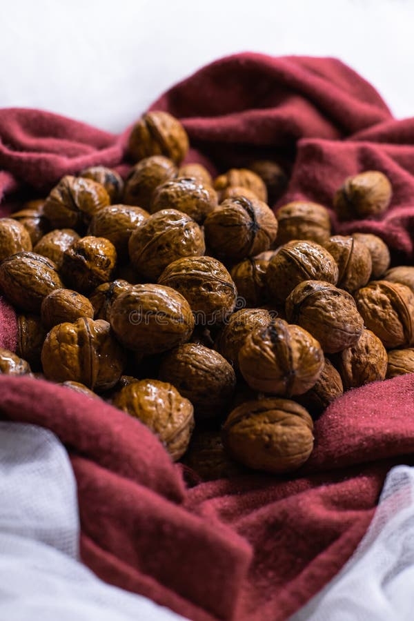 Walnut in the shell stock photo. Image of fruits, nuts - 180489118