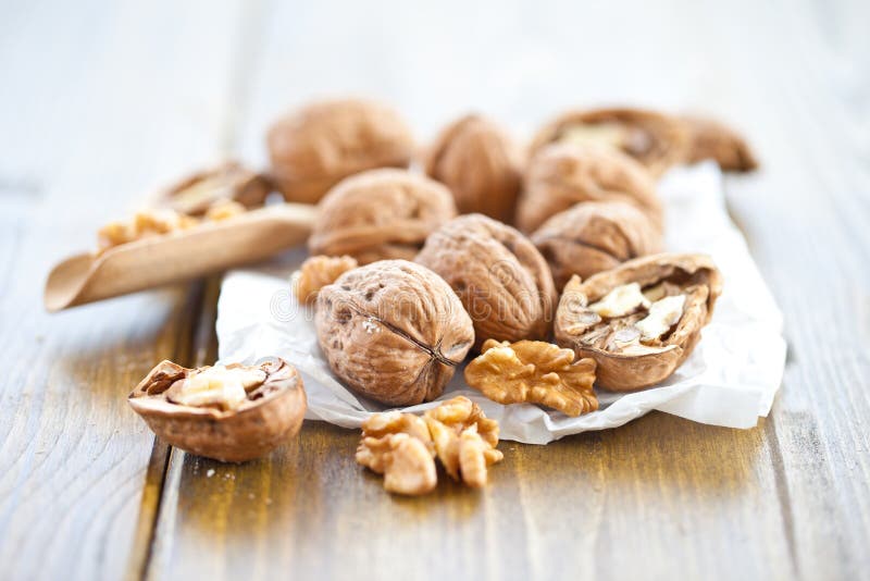 Fresh walnuts stock image. Image of walnuts, paper, snacking - 26740777