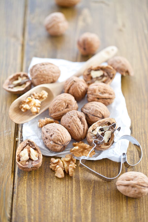 Fresh walnuts stock photo. Image of vegetarian, autumn - 26740862
