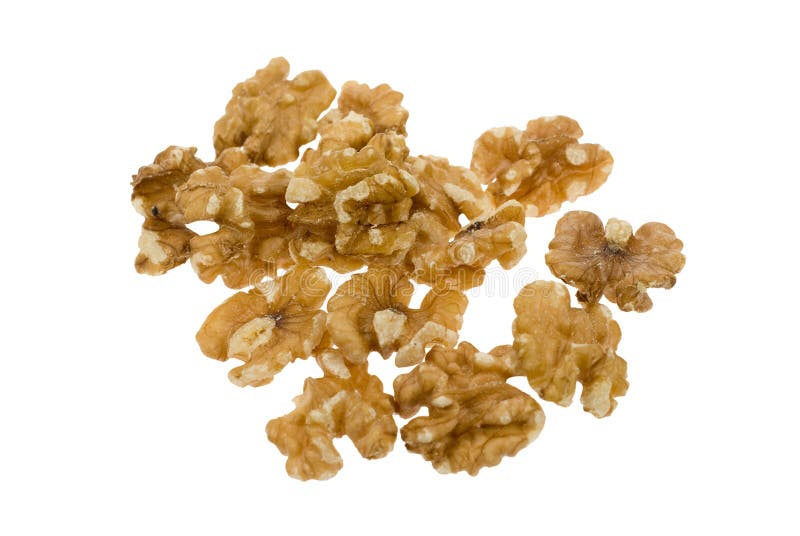 Fresh walnuts stock image. Image of seasonal, healthy - 3735417