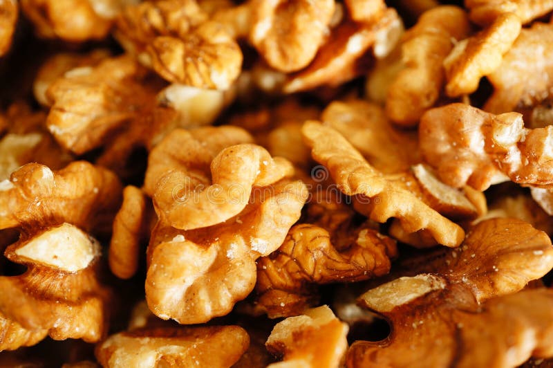 Fresh walnuts stock image. Image of health, natural, healthy - 38962497