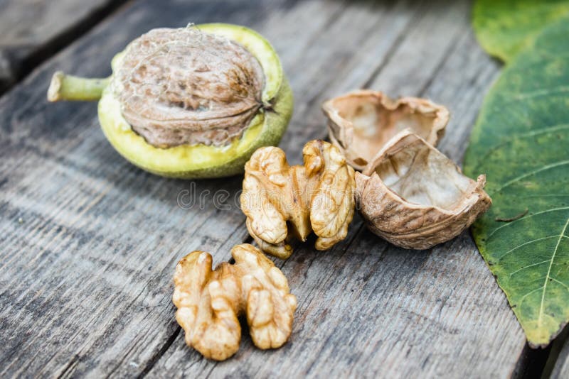 Fresh Walnuts in a Green Shell Near the Walnut Kernel on an Old Wooden ...
