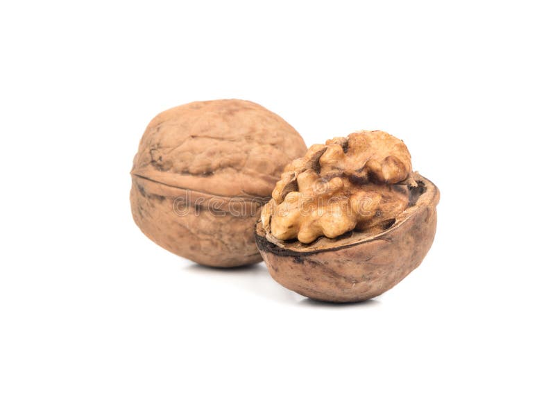 Walnut isolated stock photo. Image of fresh, ingredient - 102324056