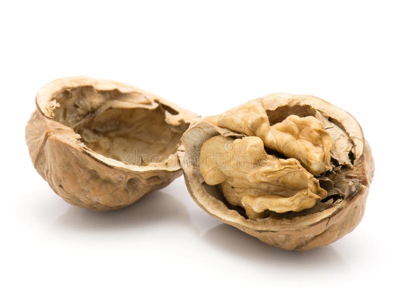 Fresh walnuts isolated stock image. Image of brittle - 106811619