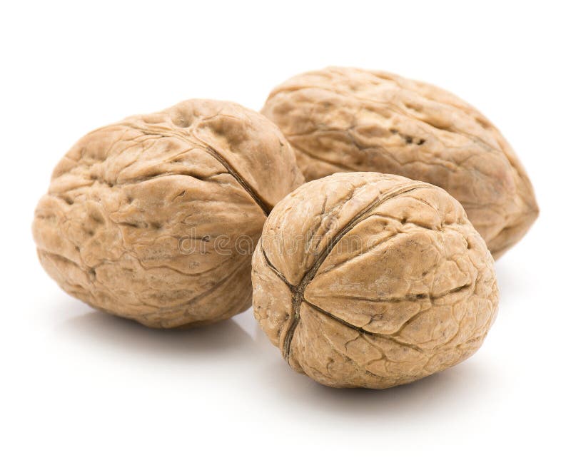 Fresh walnuts isolated stock photo. Image of macro, segment - 106811370